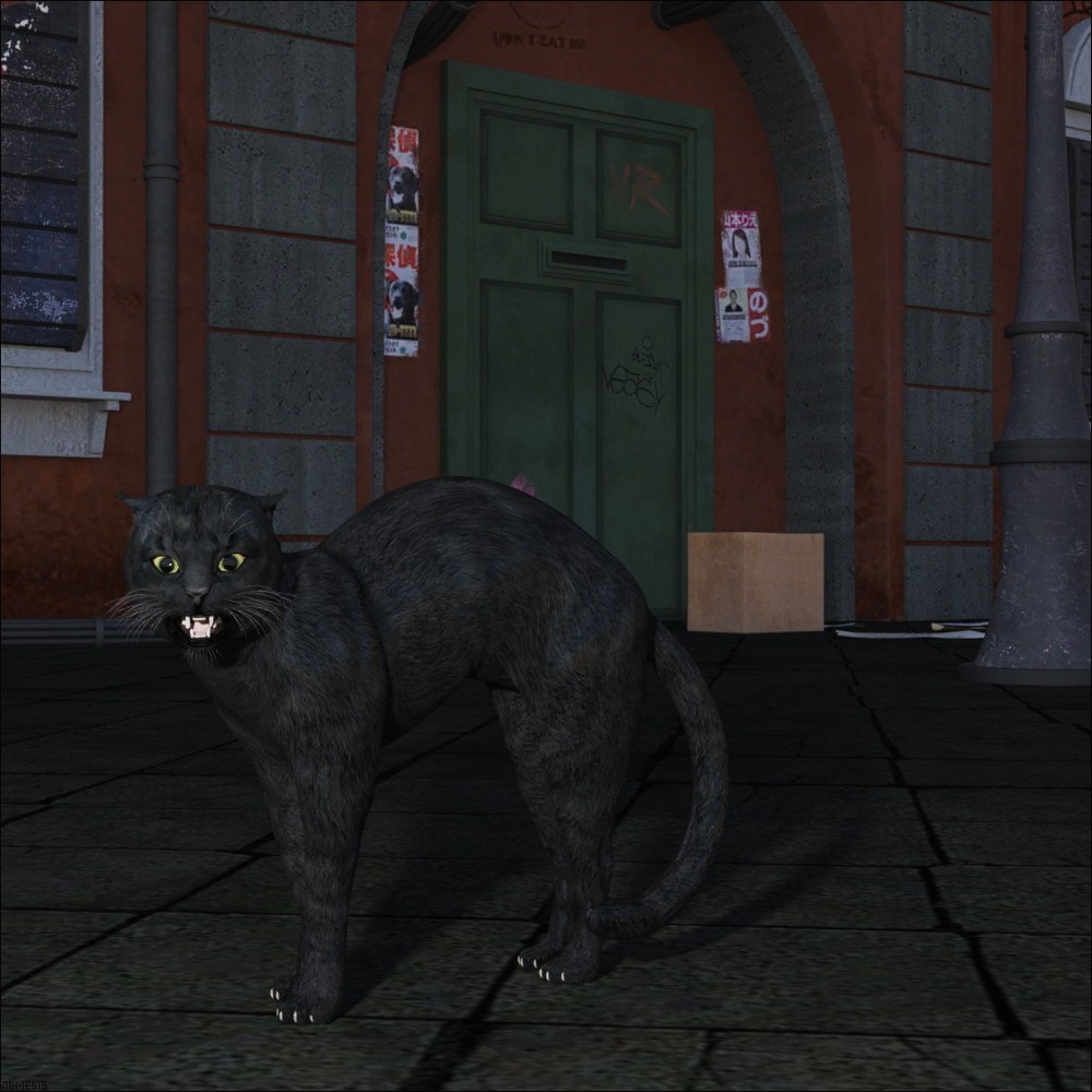 Angry cat by nemesis74s