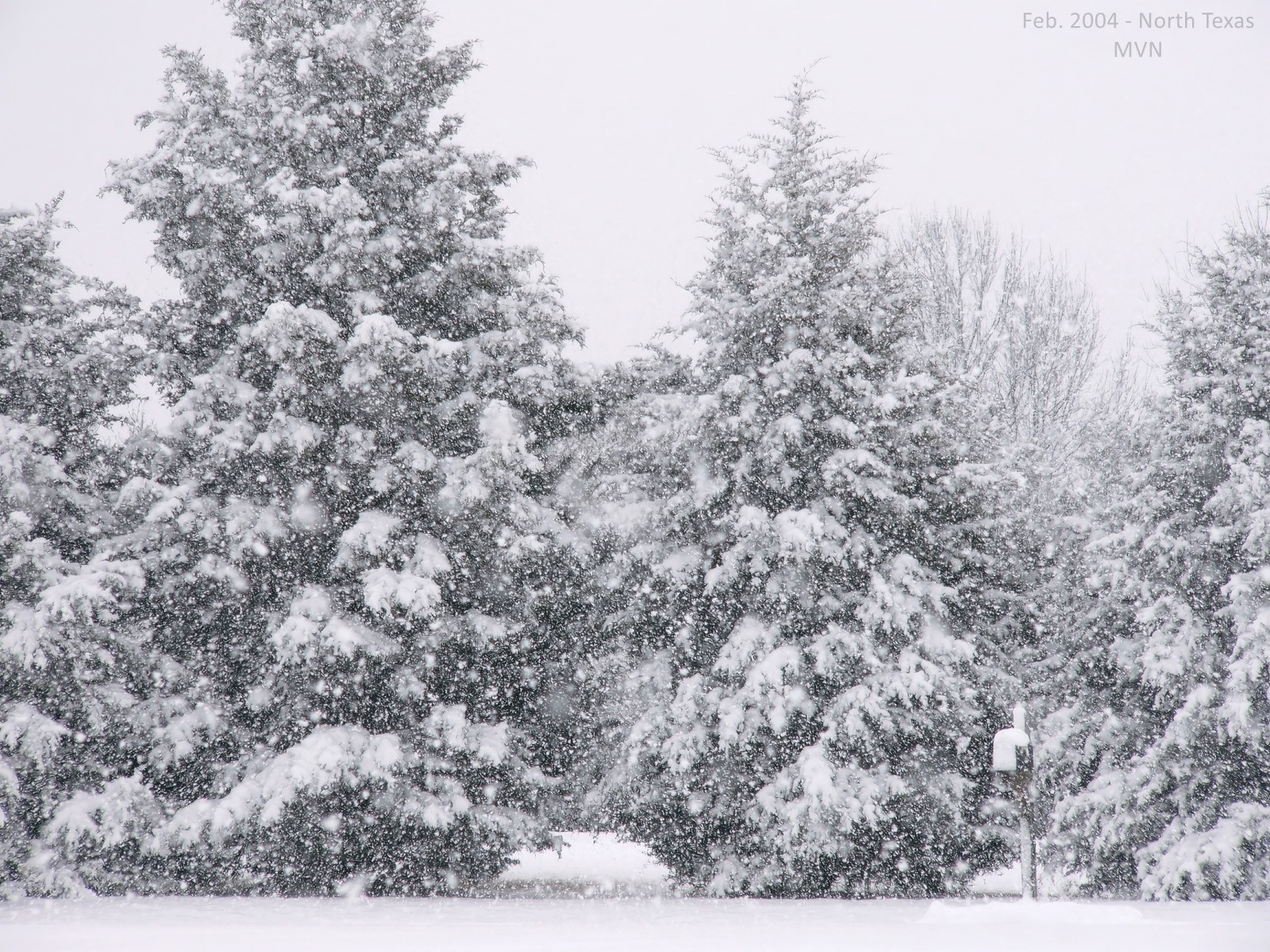 Crisp & Cold by max-