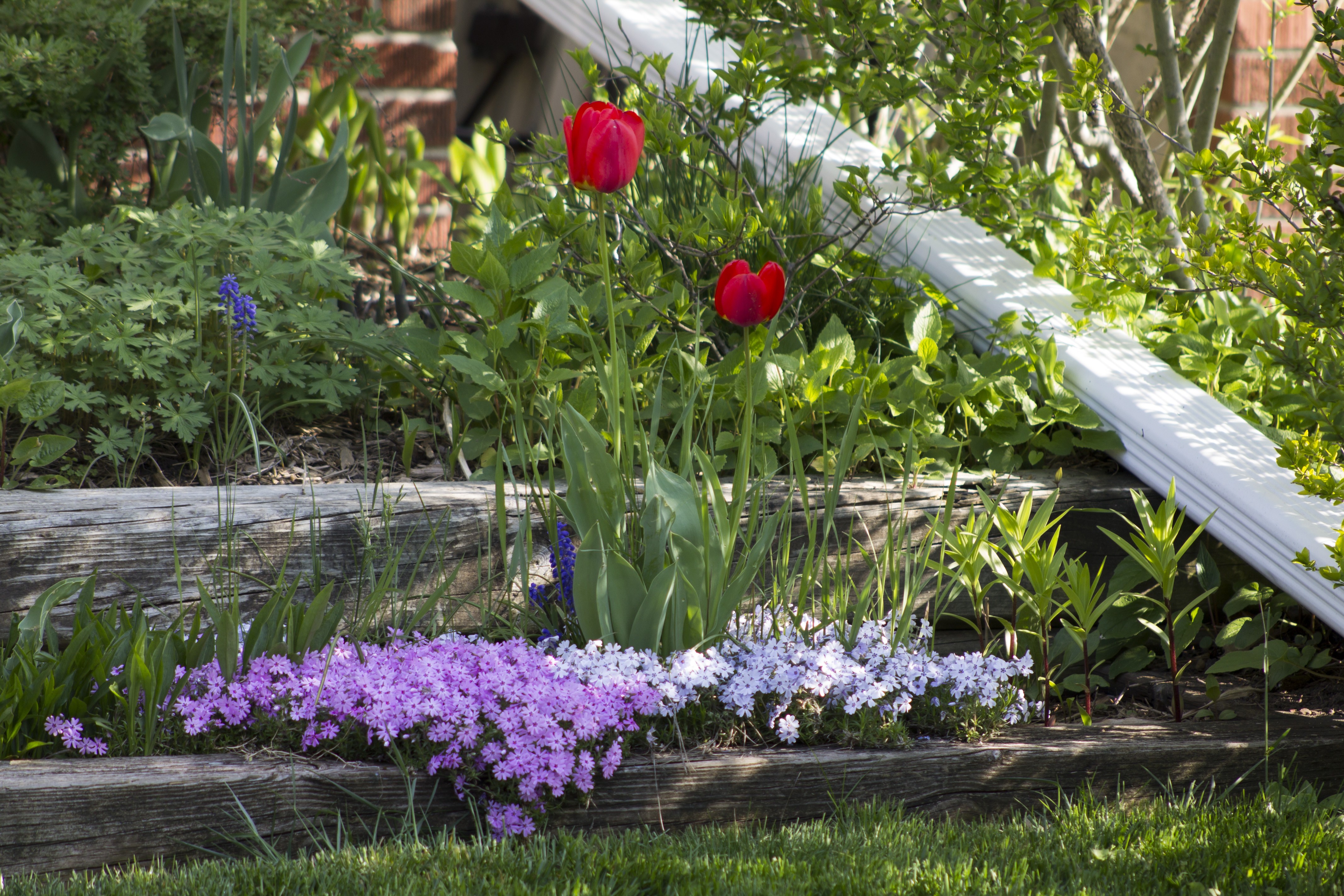 Tiny Garden by APlusDesign