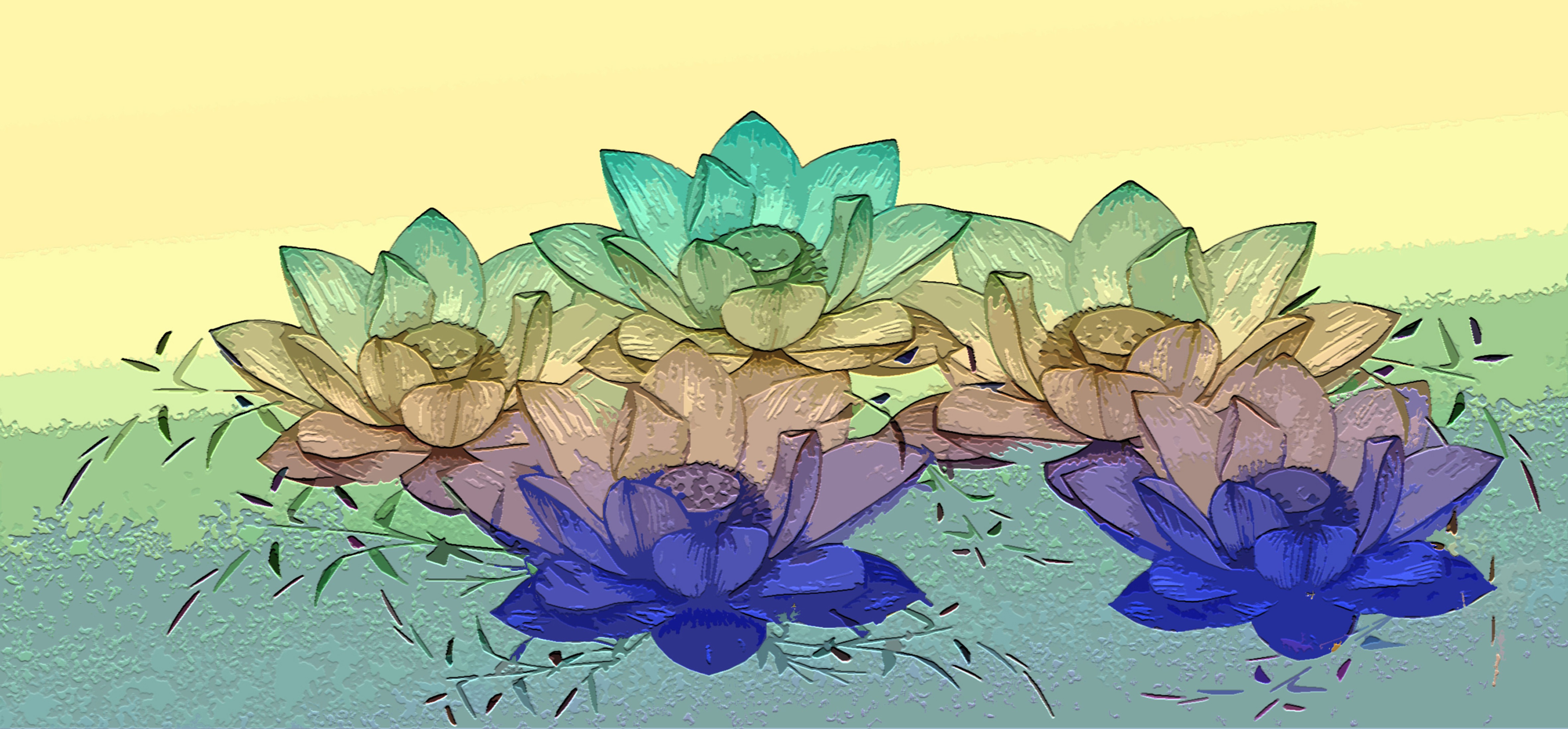 5 lotus flowers by rayag