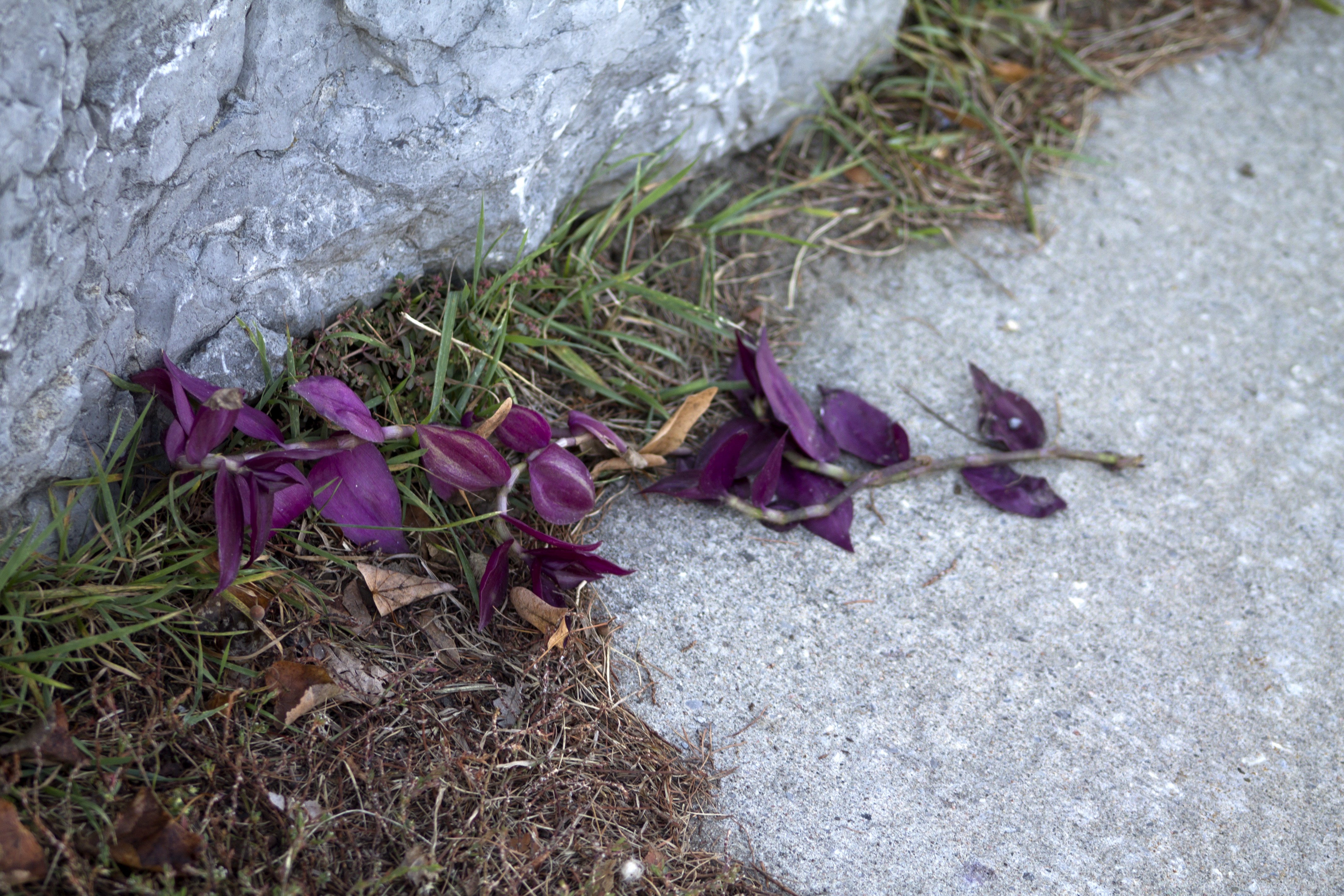 Lying on the Ground by APlusDesign