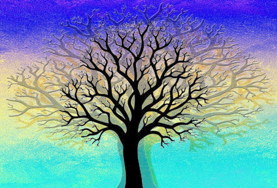 Arms outstretched by rayag