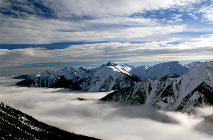 Kicking Horse by Deanw