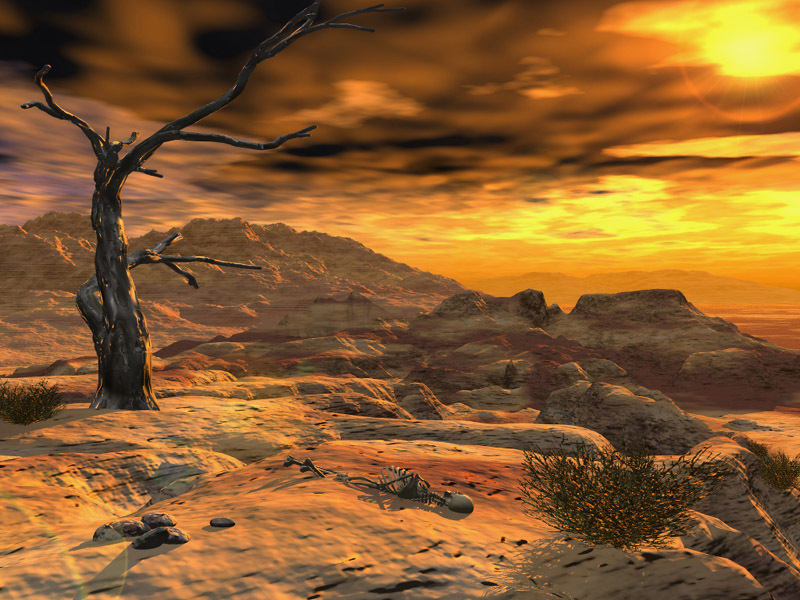 Dead Man Tree by Mikon