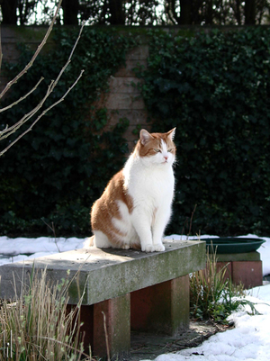 Soapbox Speaker by WandM