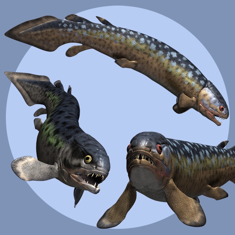 RhizodusDR - Extended License by N/A