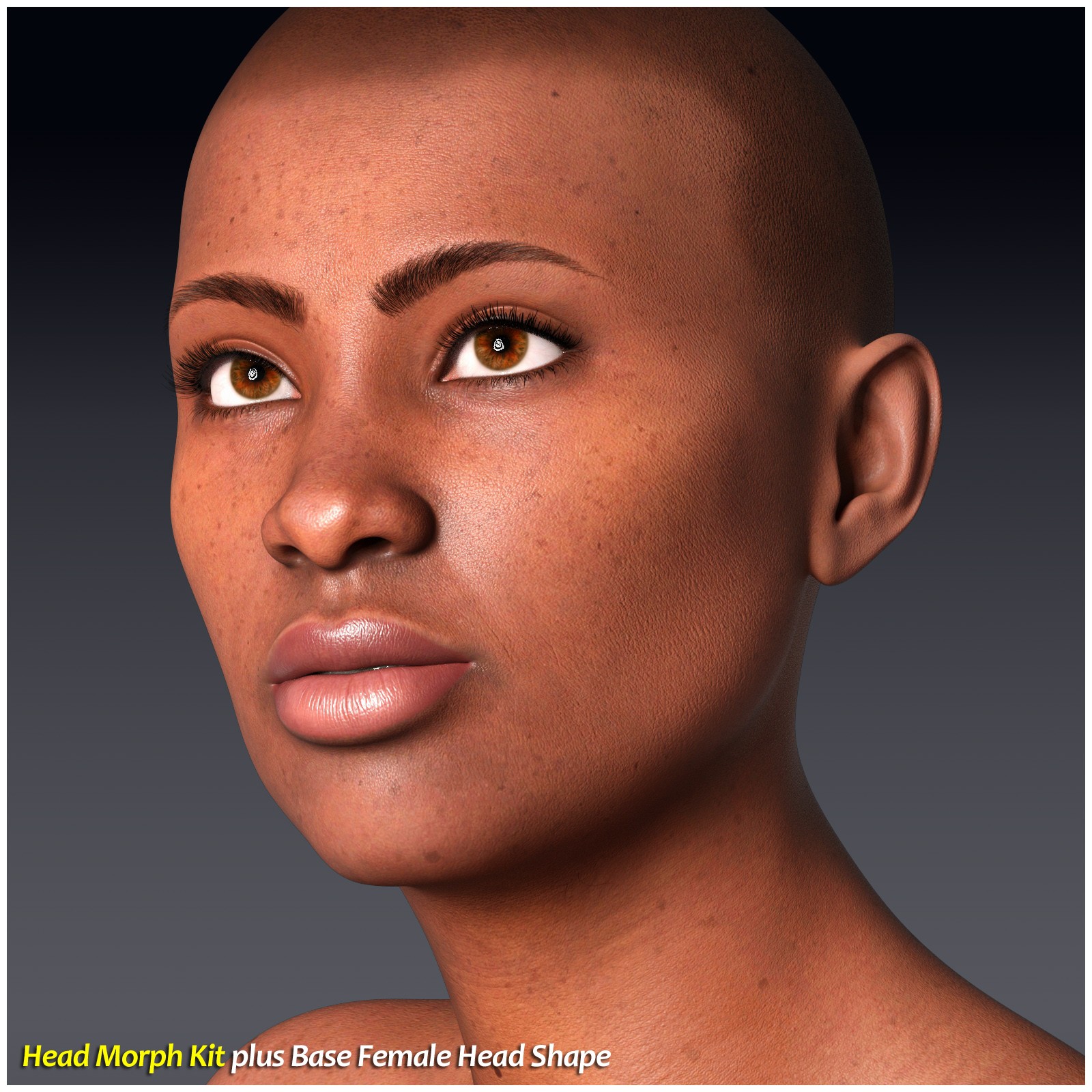 WkD3D Genesis 9 Head Morph Kit by N/A