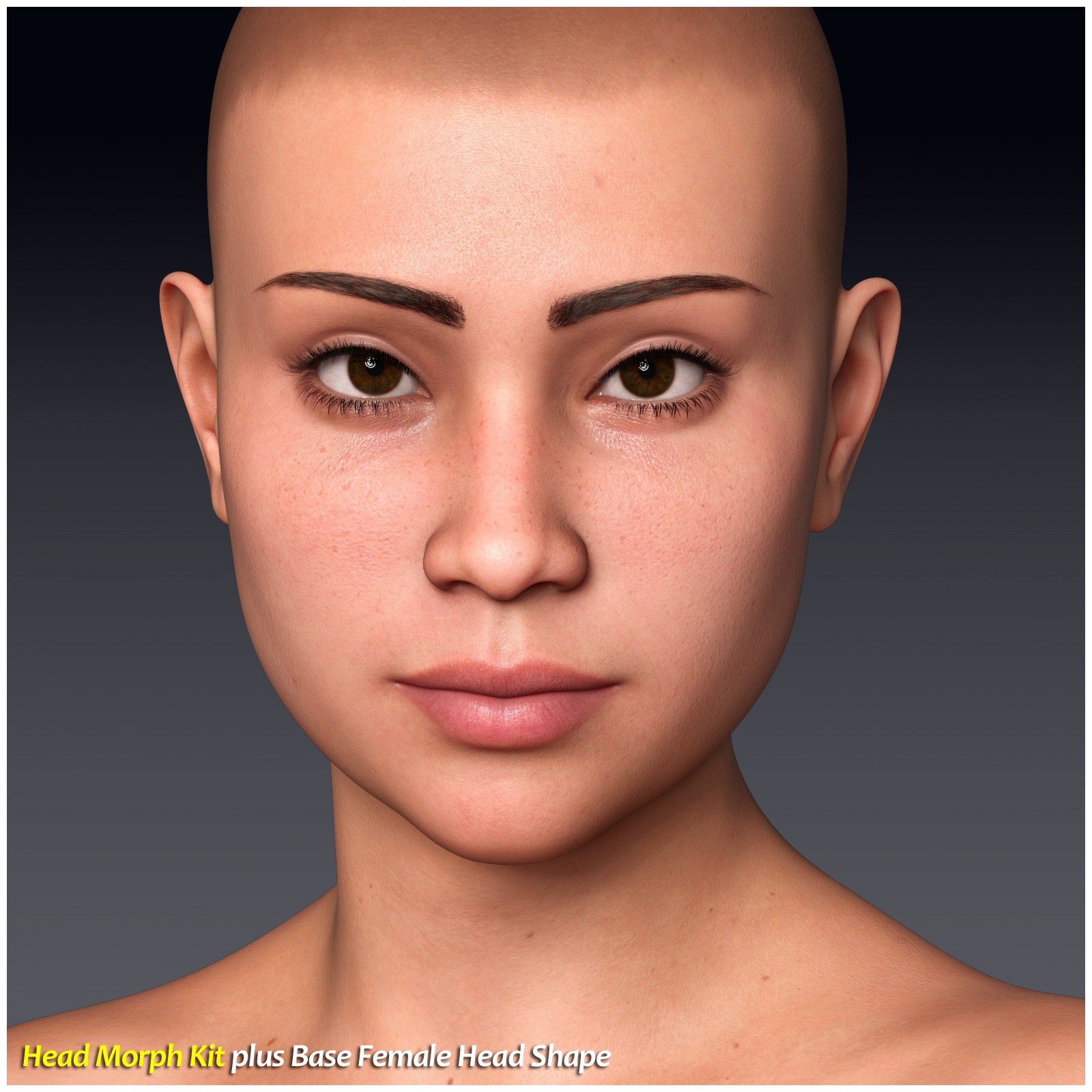 WkD3D Genesis 9 Head Morph Kit by N/A