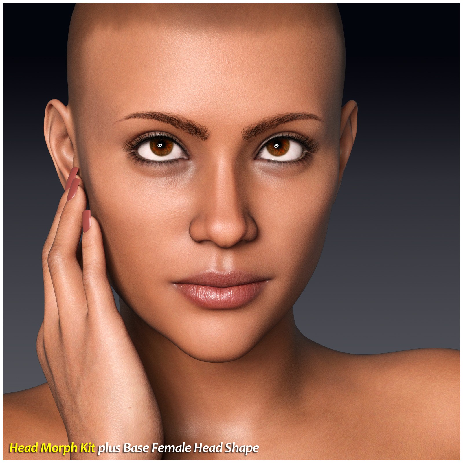 WkD3D Genesis 9 Head Morph Kit by N/A