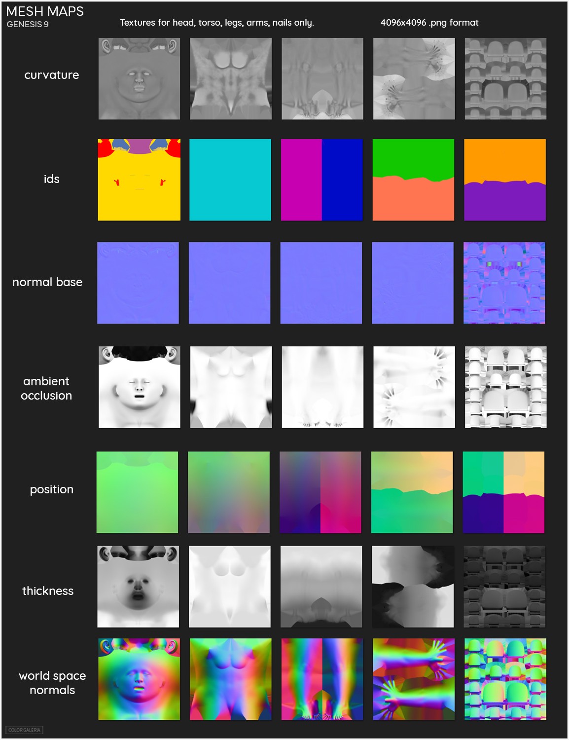 CGI Mesh Maps for Genesis 9