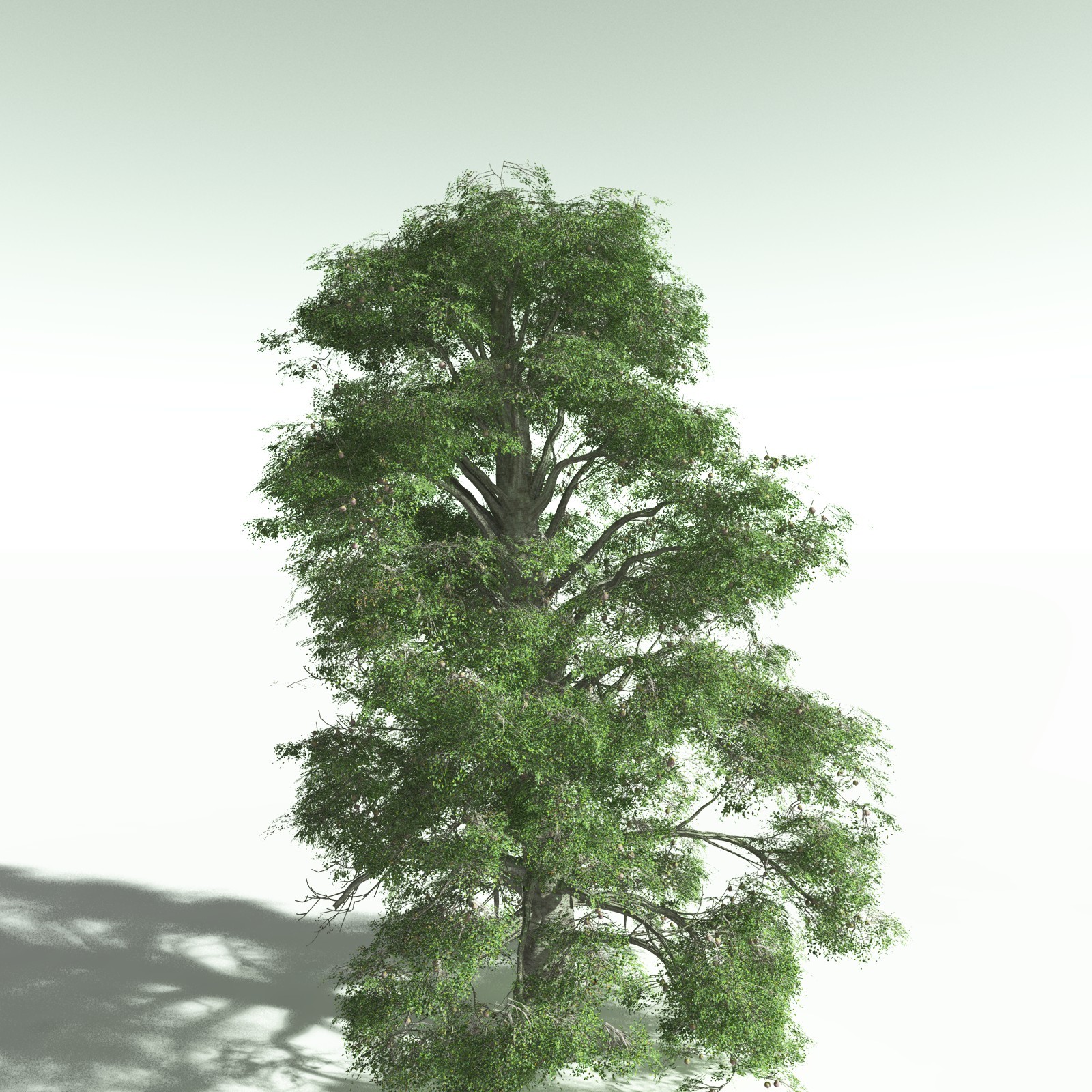 EVERYPlant Idiot Fruit Tree for Poser
