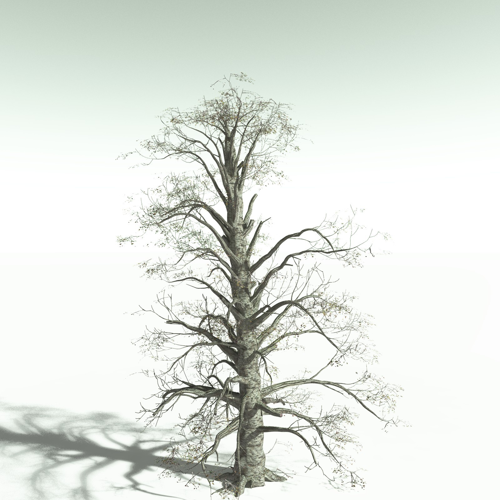 EVERYPlant Idiot Fruit Tree for Poser