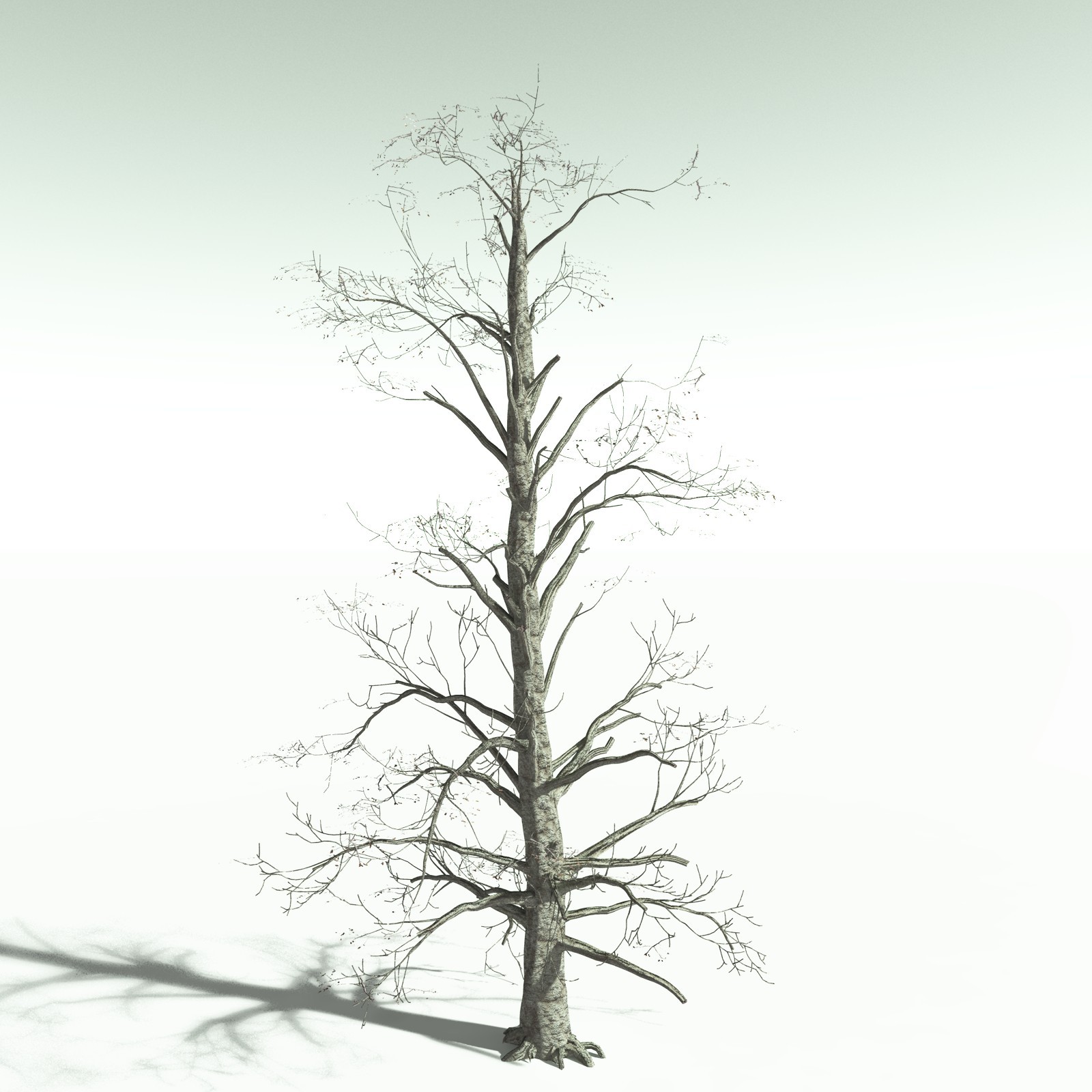 EVERYPlant Idiot Fruit Tree for Poser