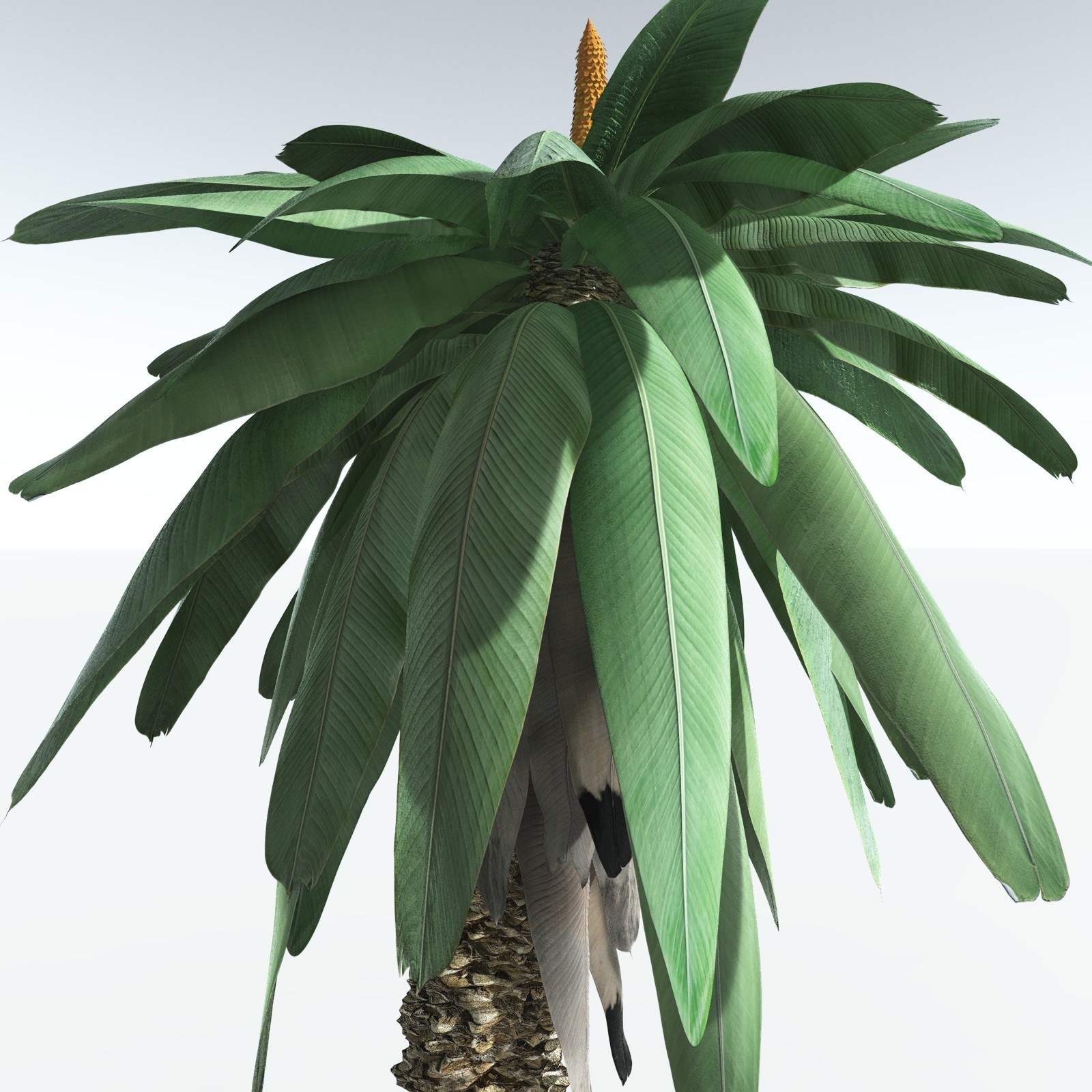 EVERYPlant Bjuvia Simplex for Vue