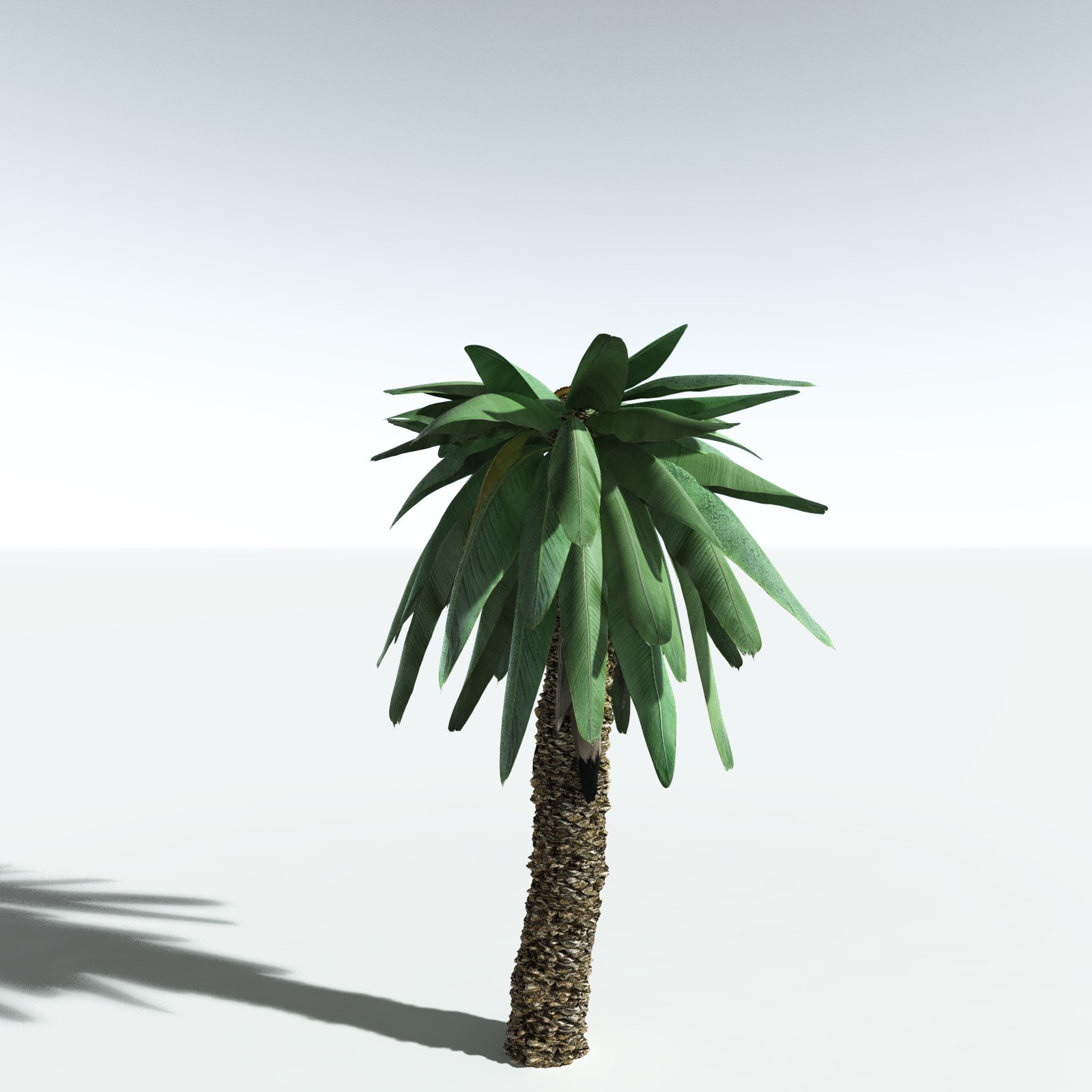 EVERYPlant Bjuvia Simplex for Vue