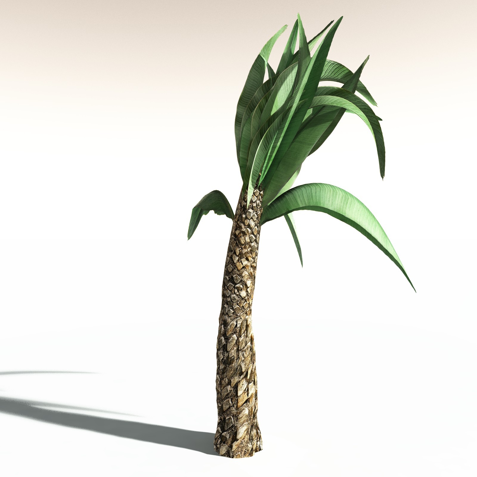 EVERYPlant Bjuvia Simplex for Daz