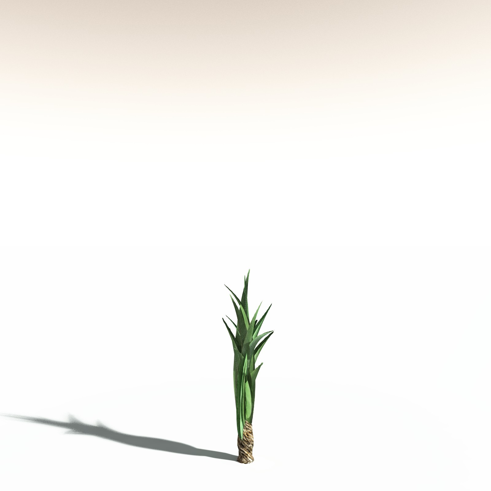 EVERYPlant Bjuvia Simplex for Daz