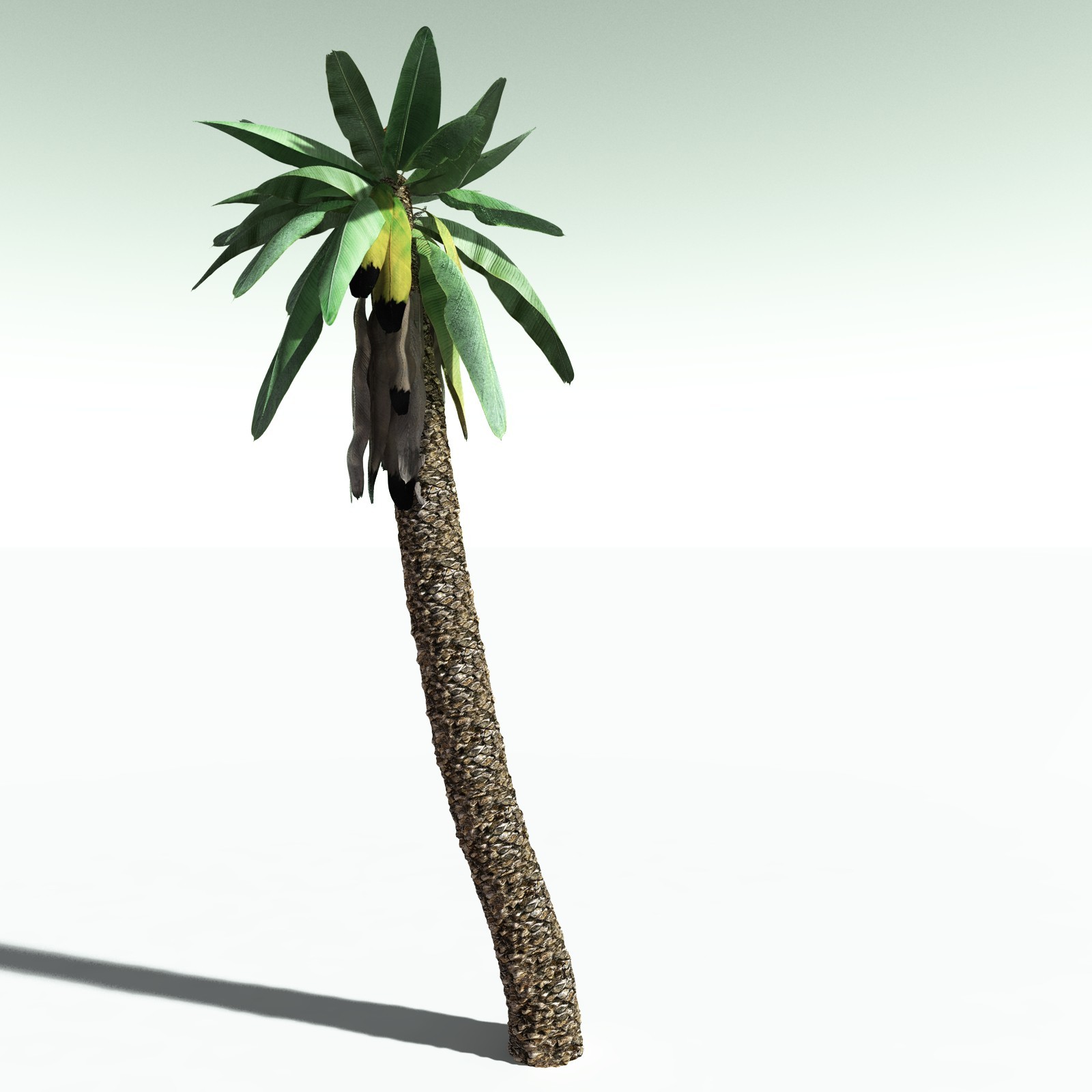 EVERYPlant Bjuvia Simplex for Poser