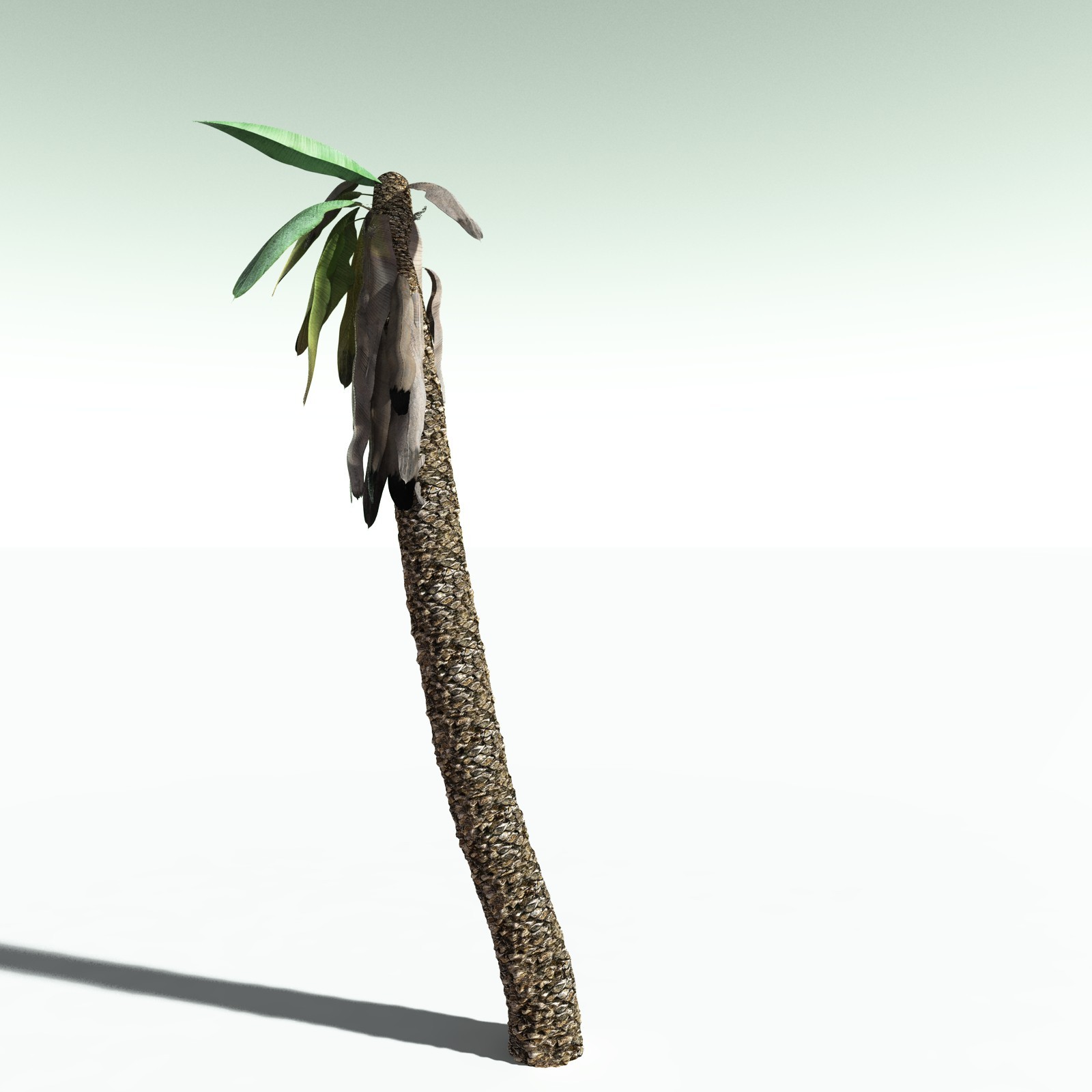 EVERYPlant Bjuvia Simplex for Poser