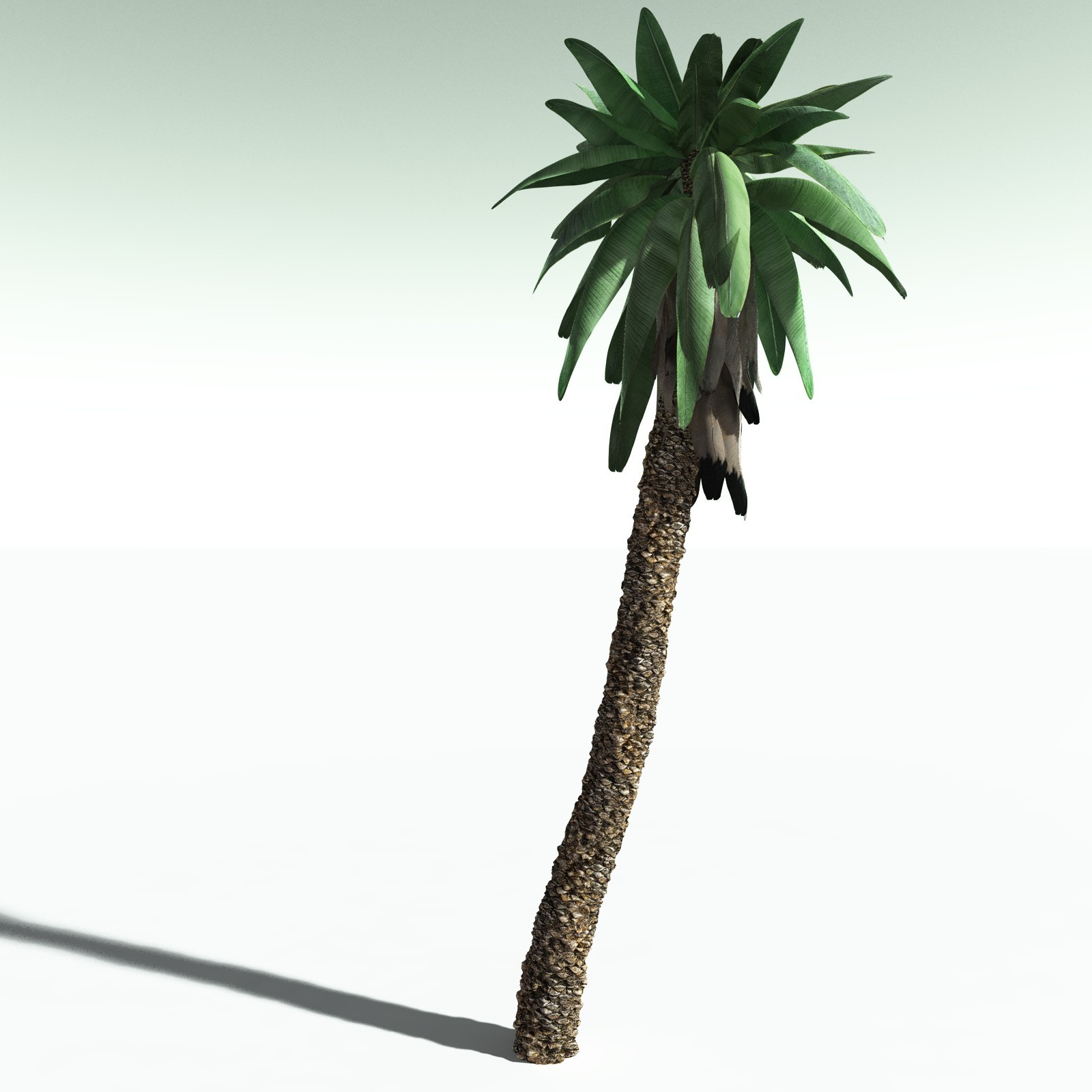 EVERYPlant Bjuvia Simplex for Poser