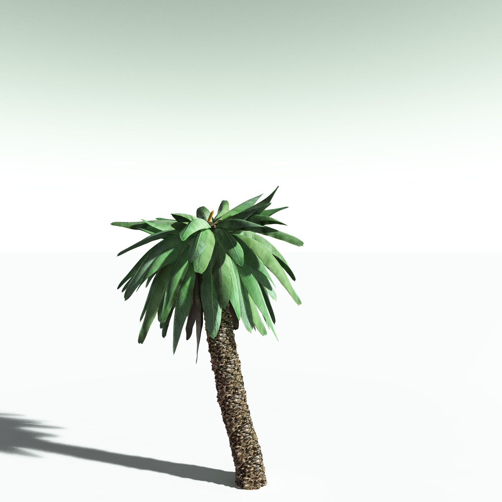 EVERYPlant Bjuvia Simplex for Poser