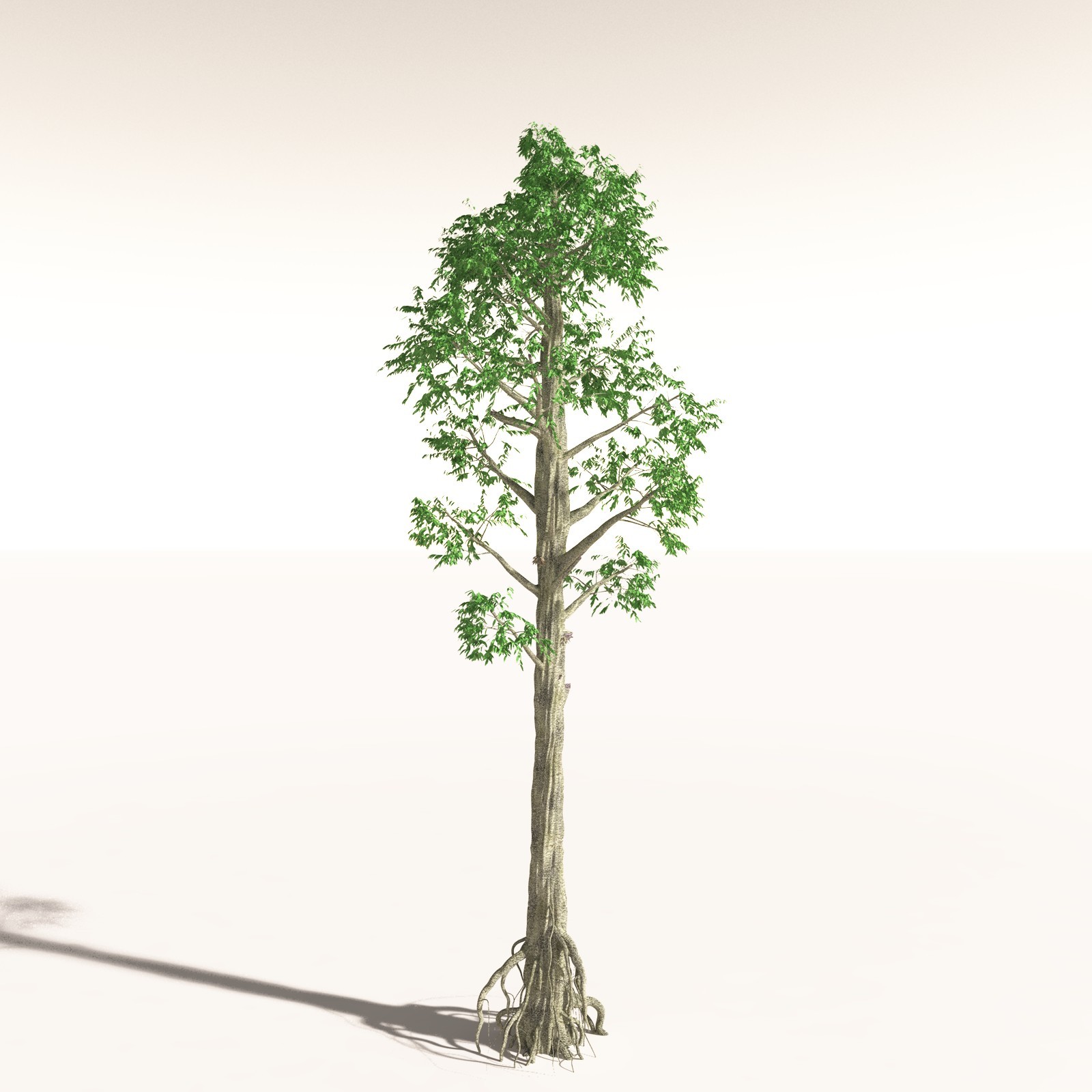 EVERYPlant Permian Biome for Daz