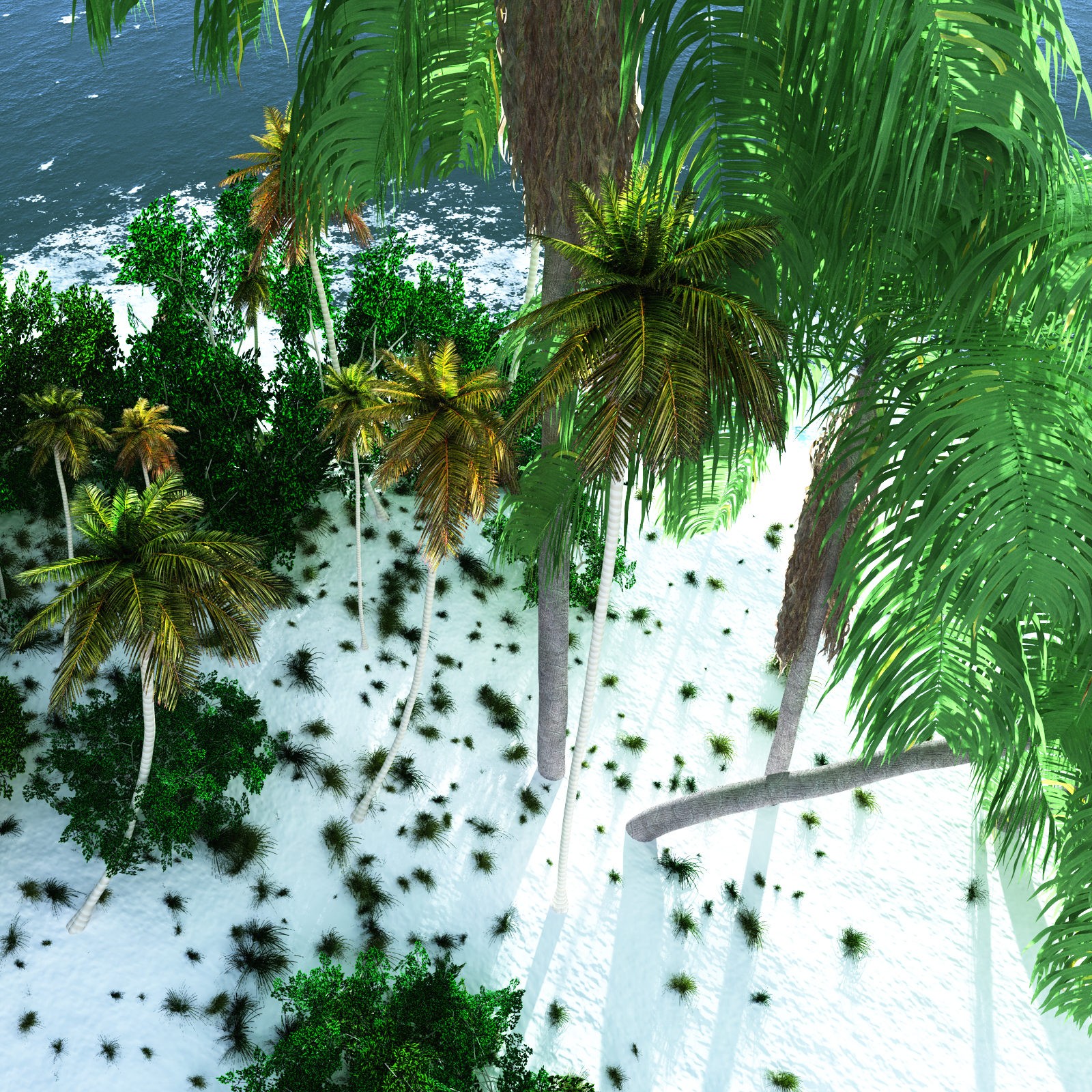EVERYPlant Tropical Beach Biome for Vue