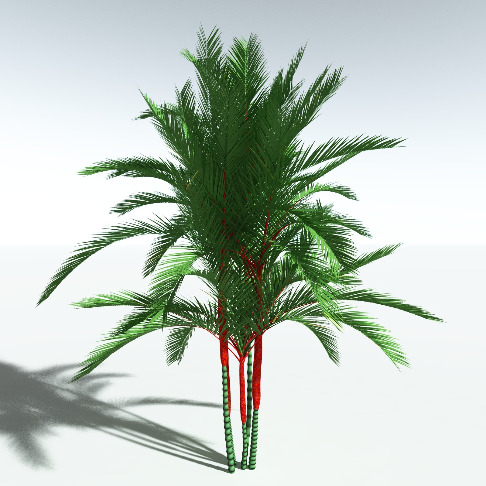 EVERYPlant Tropical Beach Biome for Vue