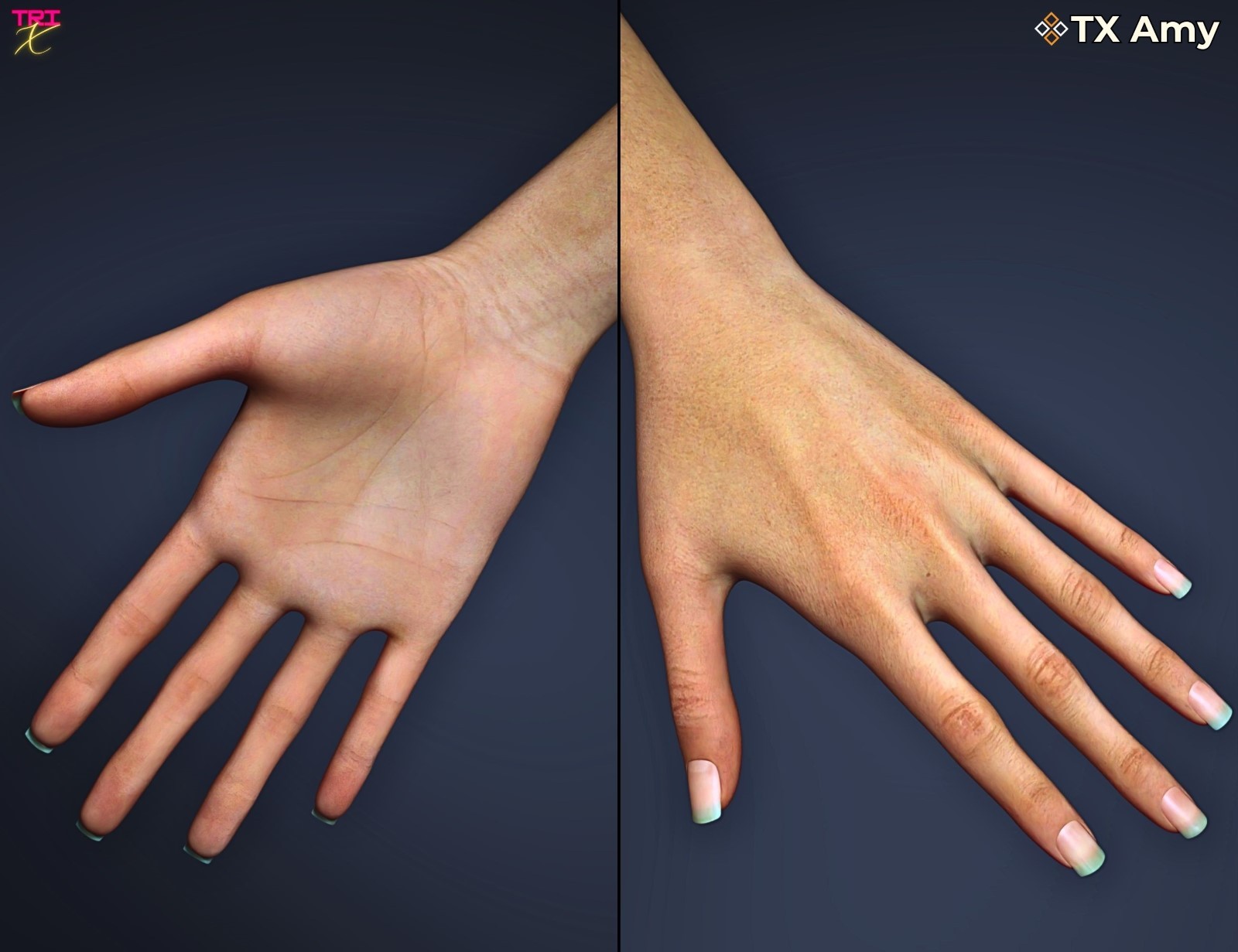 TX Amy Premium PACK G9/8/8.1