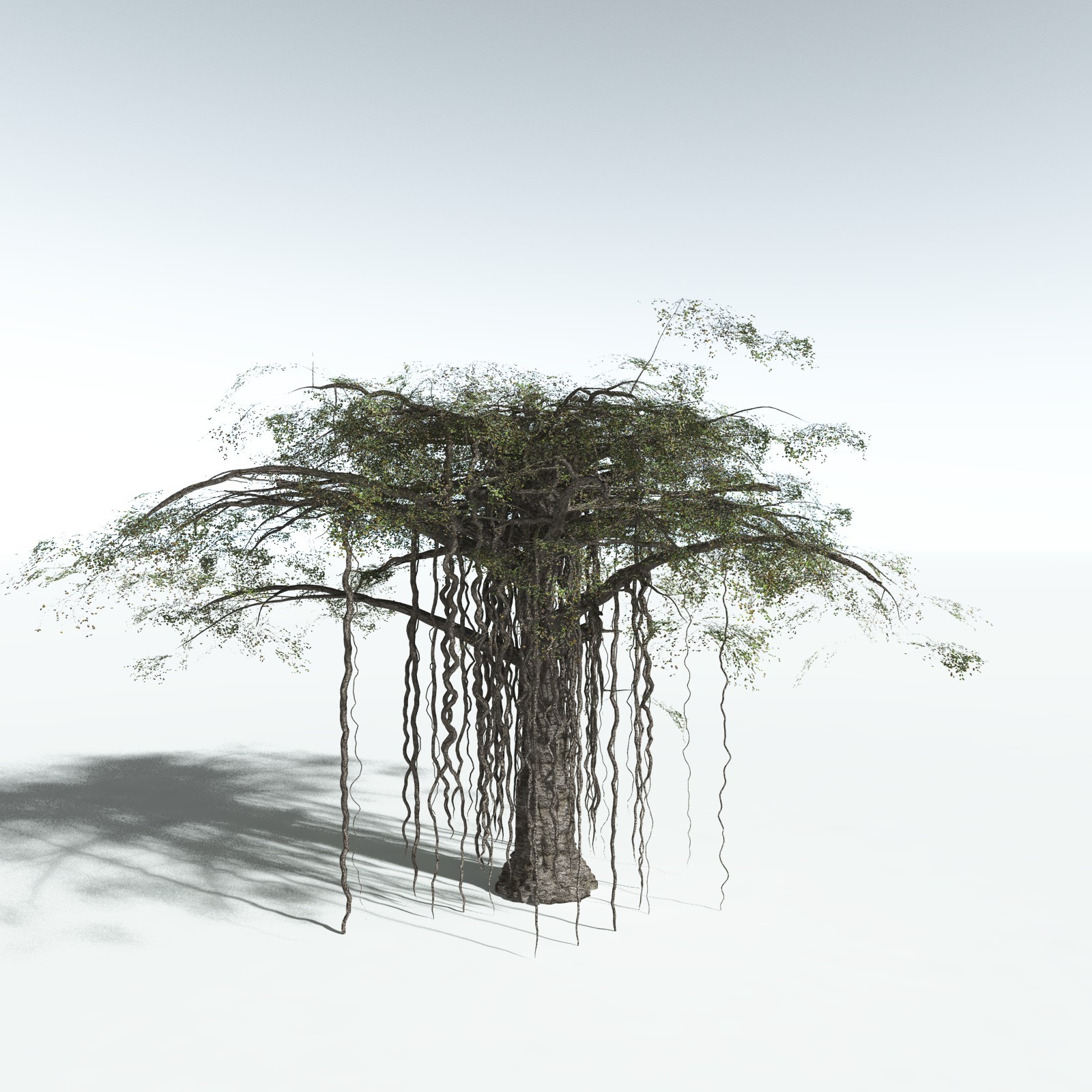 EVERYPlant Banyan Tree for Vue