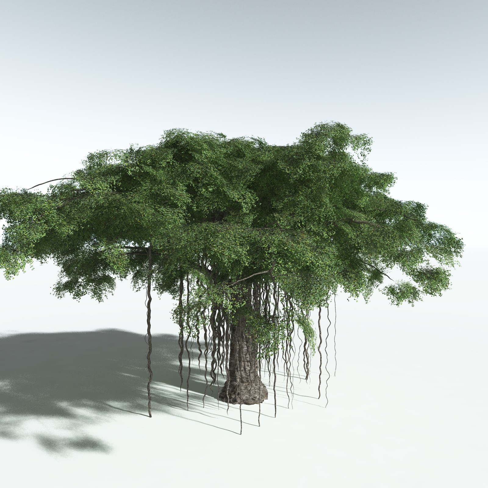 EVERYPlant Banyan Tree for Vue