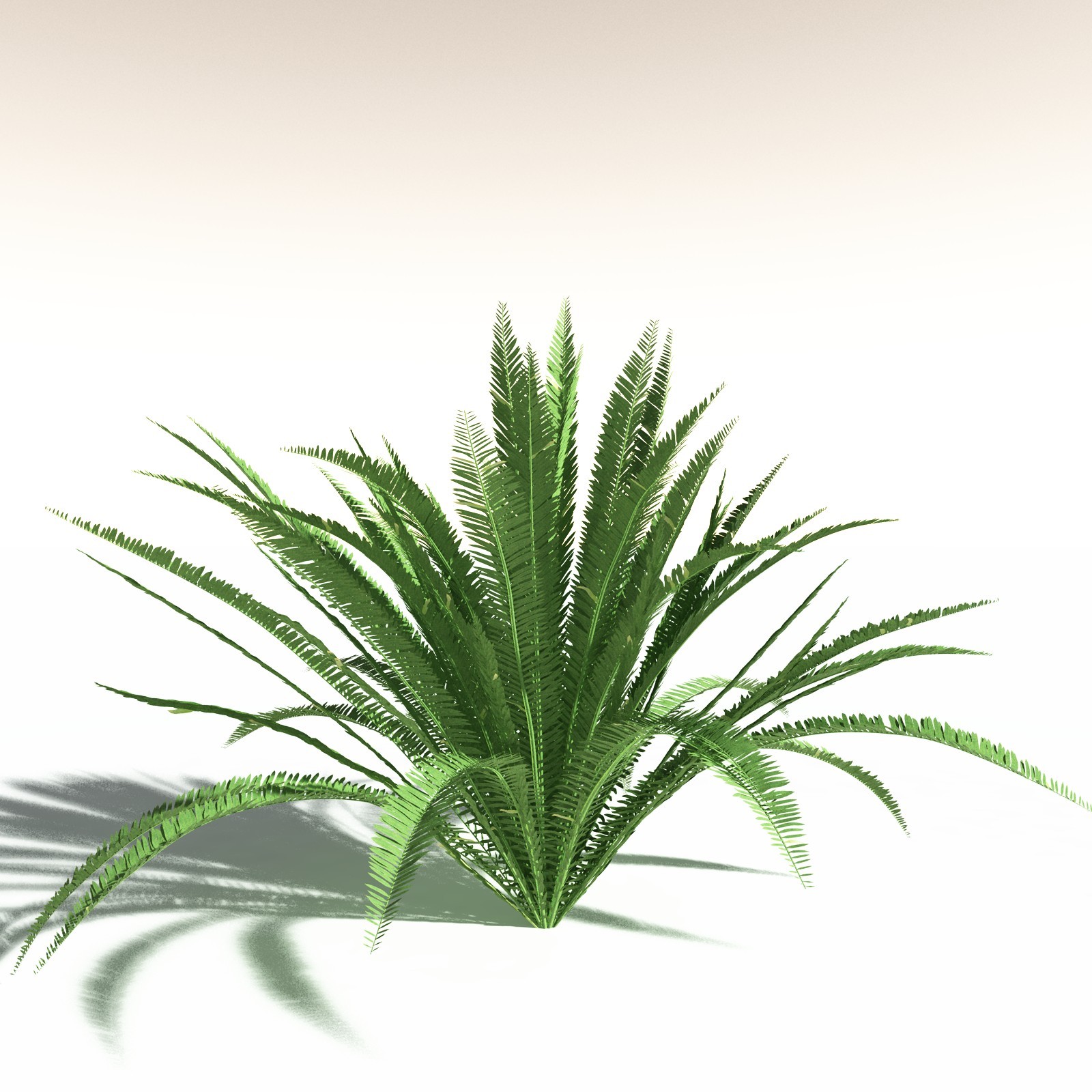EVERYPlant Redwood Forest Biome for Daz