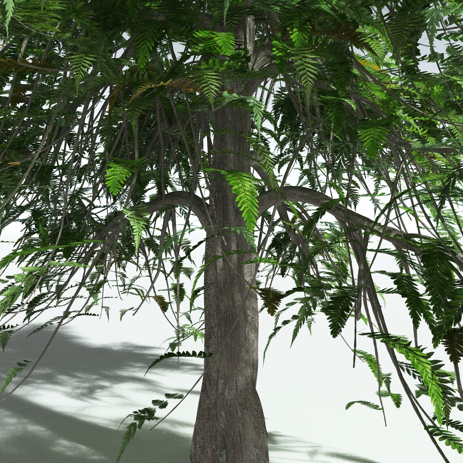 EVERYPlant Archaeopteris Macilenta for Vue