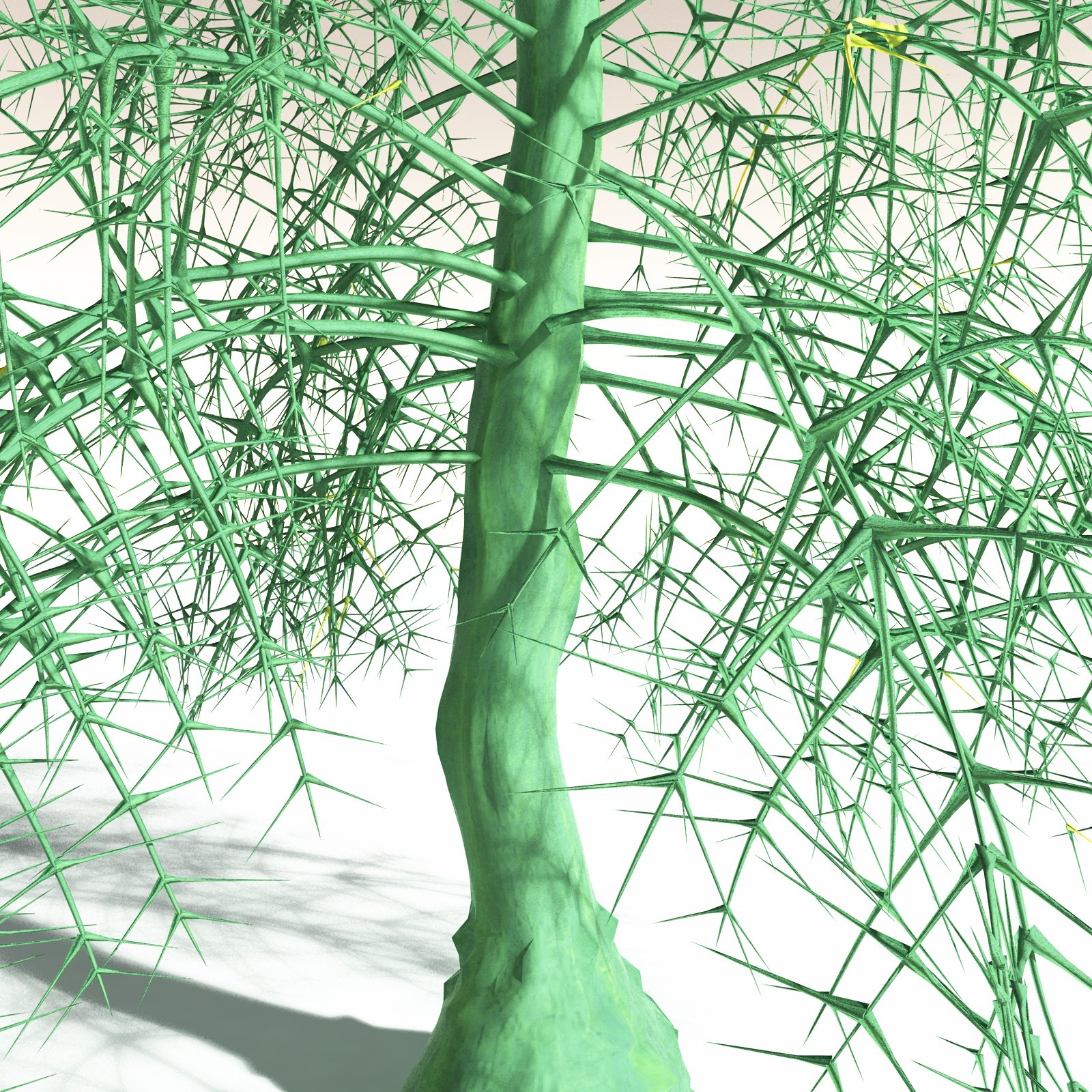 EVERYPlant Rhacophyton Condrusorum for Daz