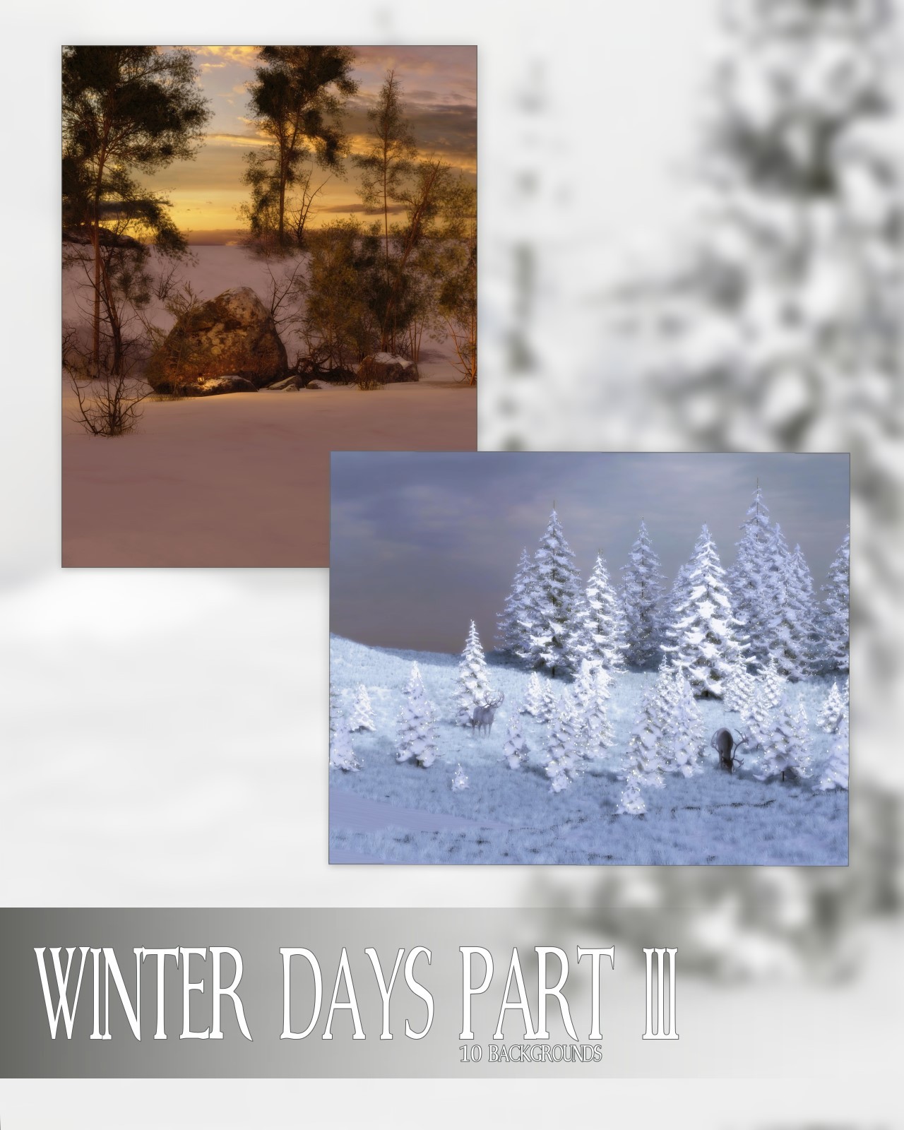 Winter Days Part III