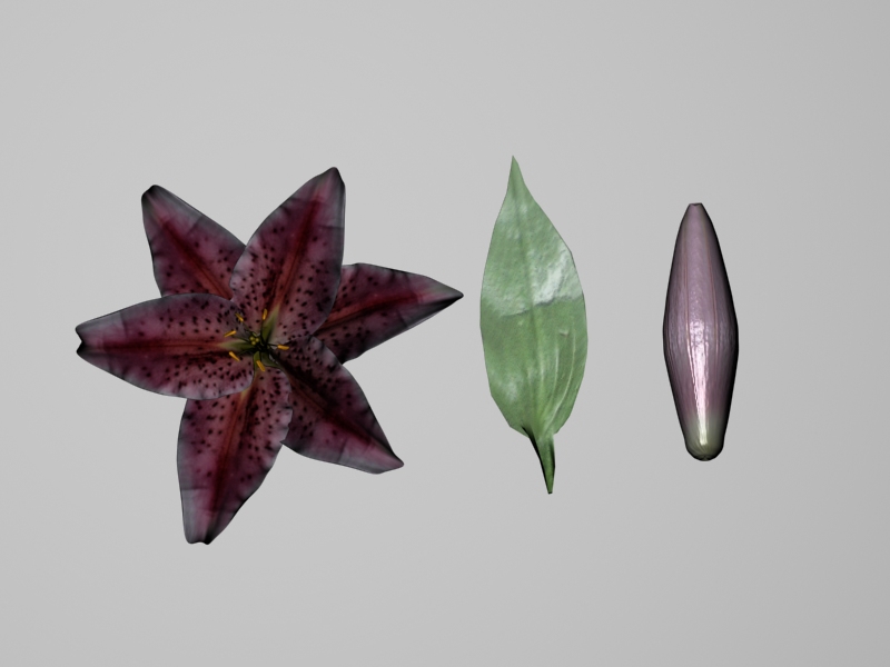 (POSER) Photo realistic Lilly`s model