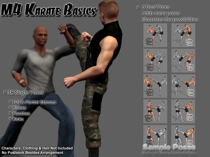 M4 Karate Basics ayukawataur