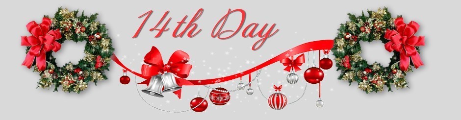 Dec.2021 - 24 Days Of Christmas Give-Away - December 14th - Renderosity