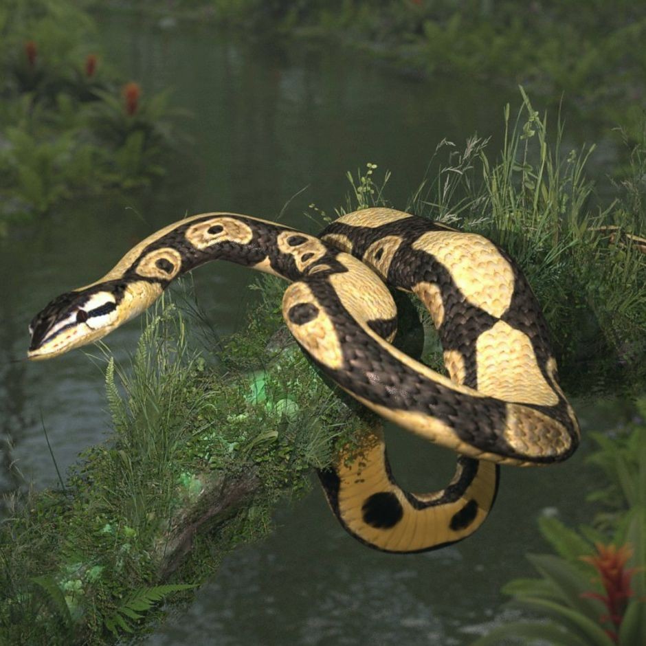 Ken _Gilliland's Top Tier Showcase - Snakes - Renderosity