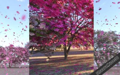 Bundle Bonanza - Renderosity