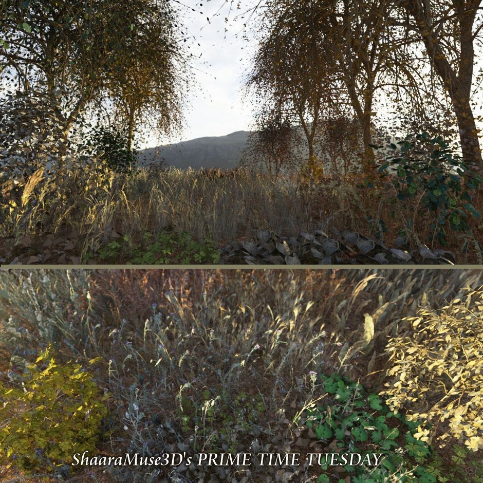 Dec.2023 - ShaaraMuse3D's "PRIME TIME Tuesday" SALE - Renderosity